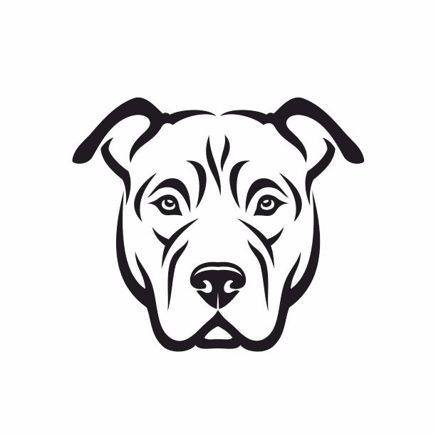 PITBULL MASTER | 3D Models