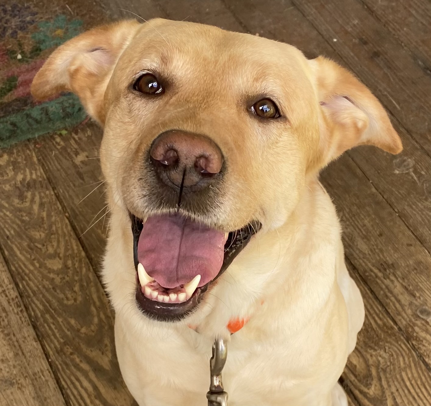 Sahara54's Profile | Creality Cloud