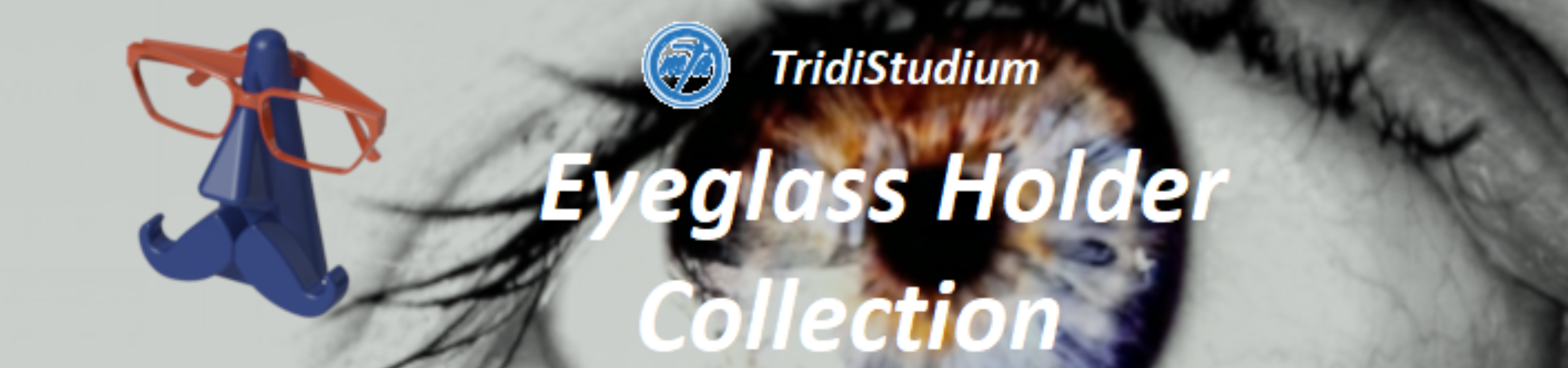 Eyeglass Holder Collection