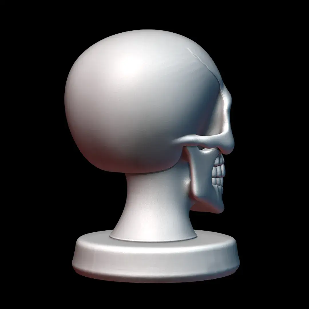 Sculptures & Artworks STL Download - Cute Scull 3D print modelby Cute ...