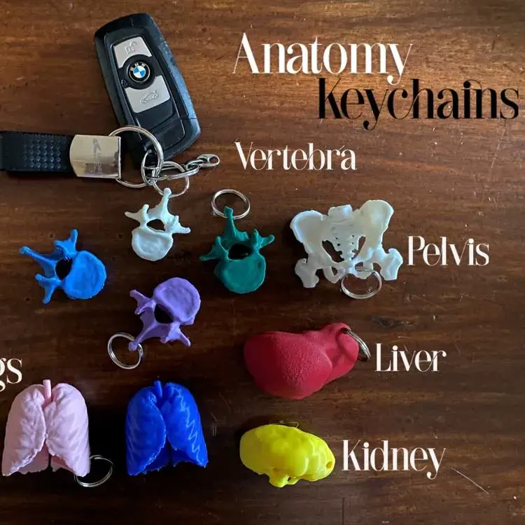 3D Printer Files | 3MF File | Anatomy Keychains Pack (Bundle of 5 ...