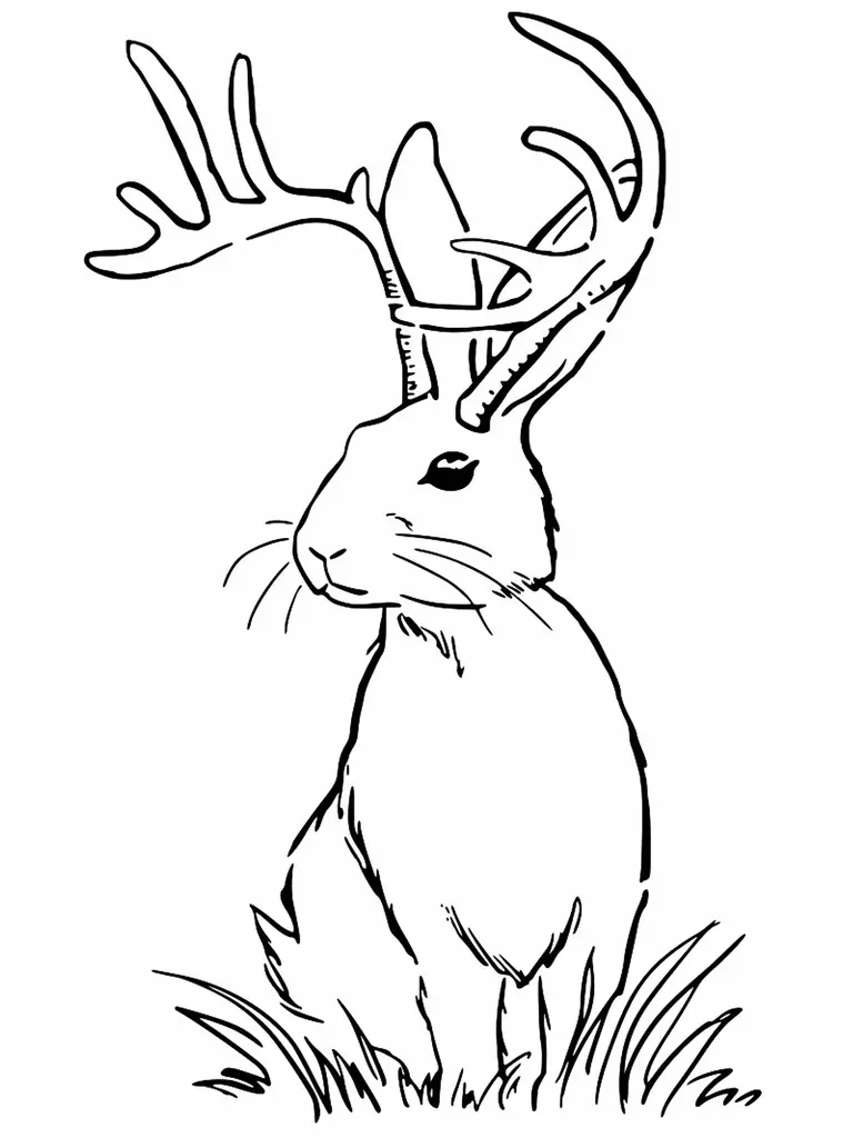 Free Other STL Download - Jackalope stencilby SMT_M 🦊