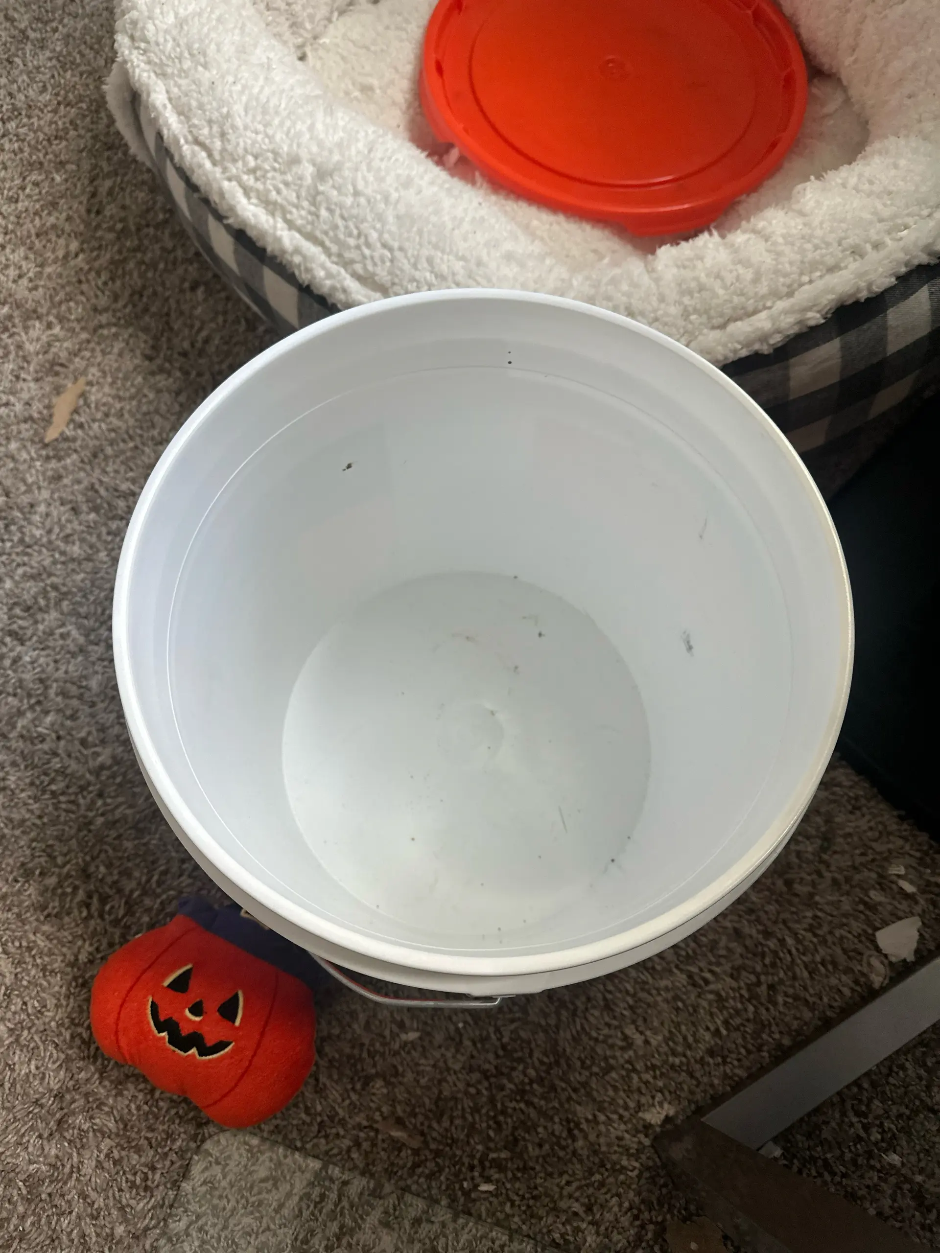 Free Other STL Download - ArmorAll bucket cleaner holderby Picasso_Prints