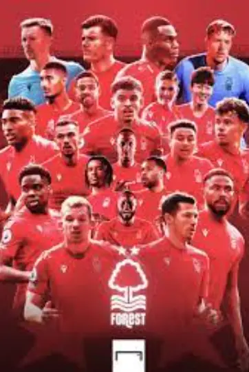 Free Other STL Download - Nottingham forest lithoby Nme61X