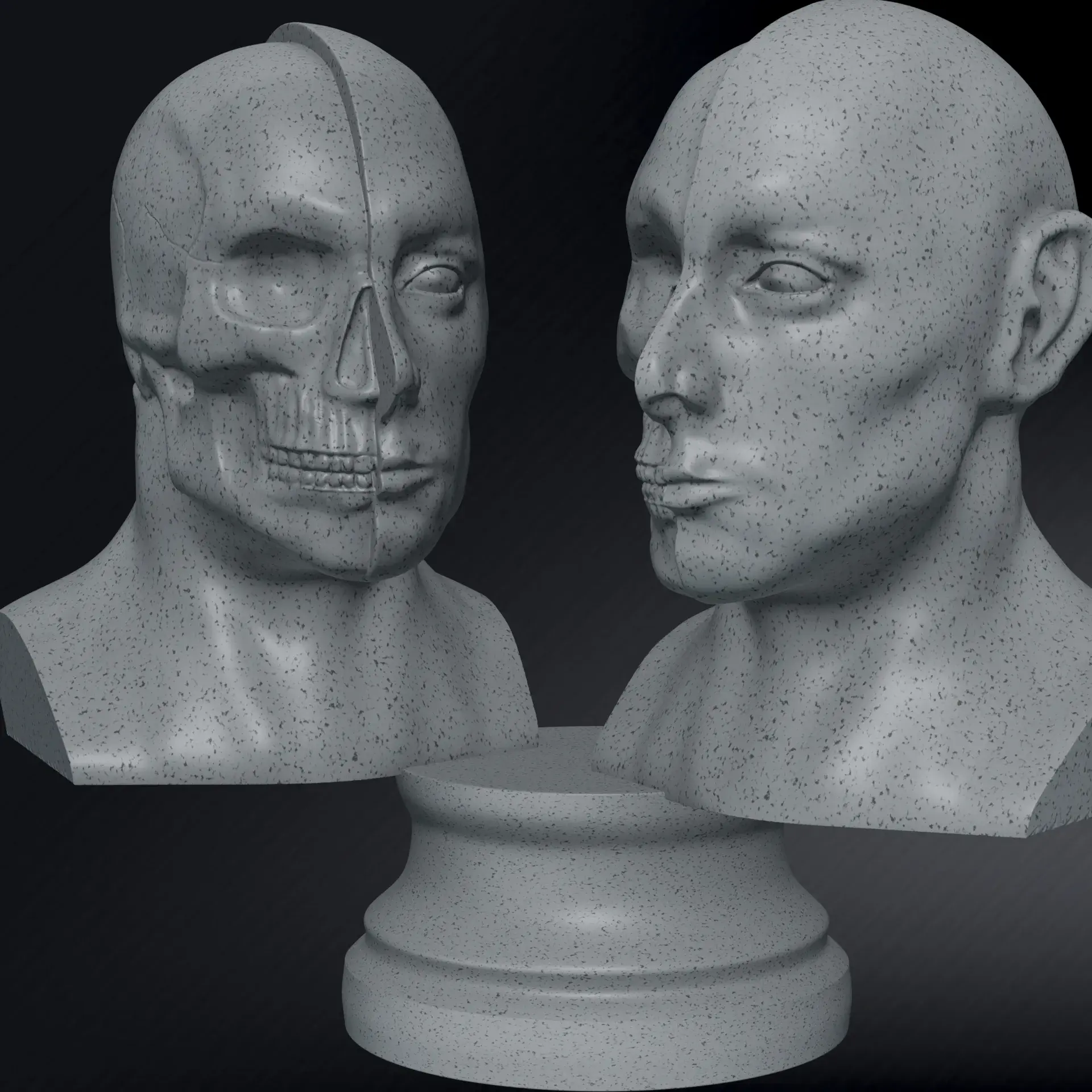 Sculptures & Artworks STL Download - Jeremy Sculpture,Male Anatomy ...