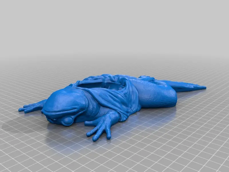 Free Other STL Download - The Frog Dissection Kitby SMT_M 🦊