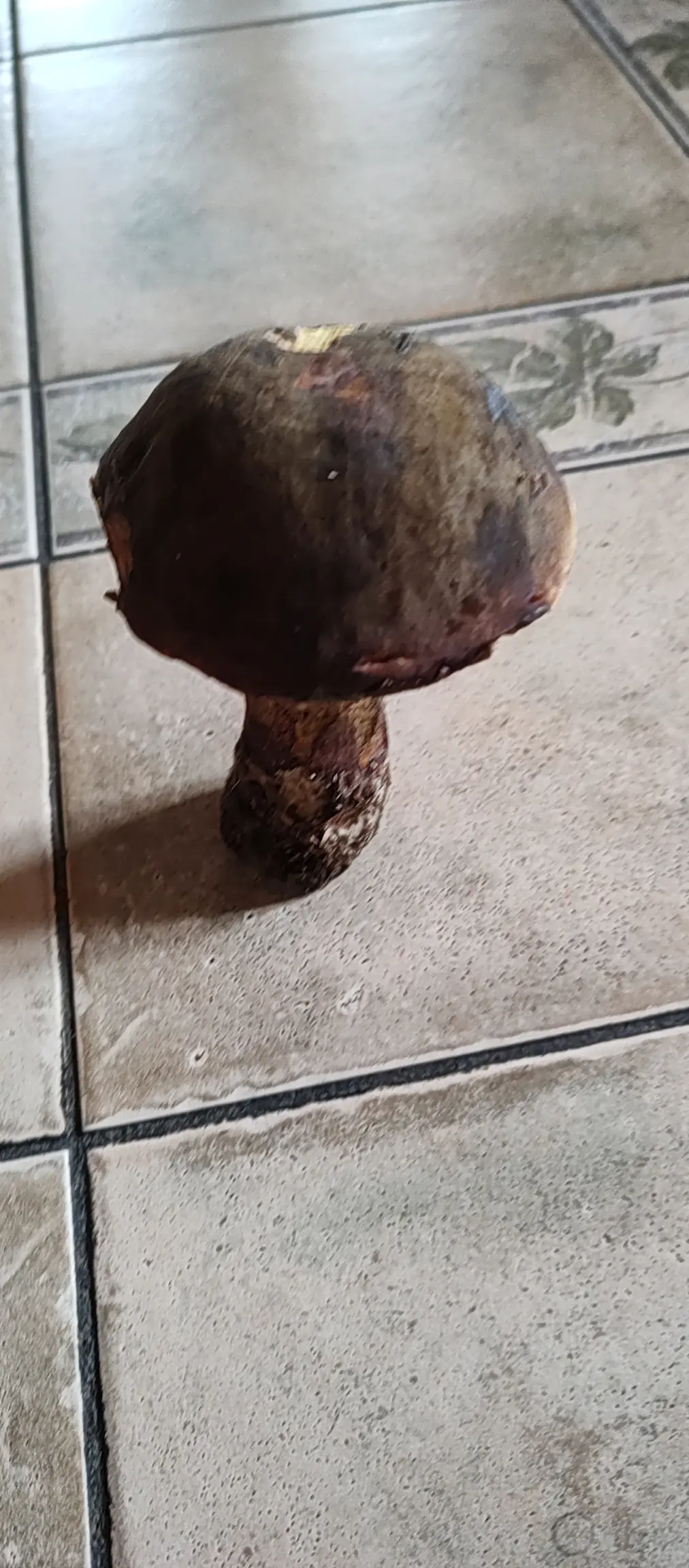 Free Other STL Download - kovářby Anthony Vacek