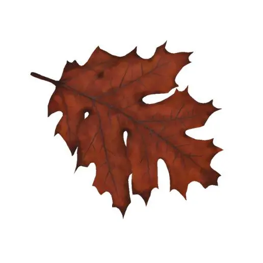 Free Other STL Download - Brown Oak Fall Leaf 3D Model STL Printableby ...