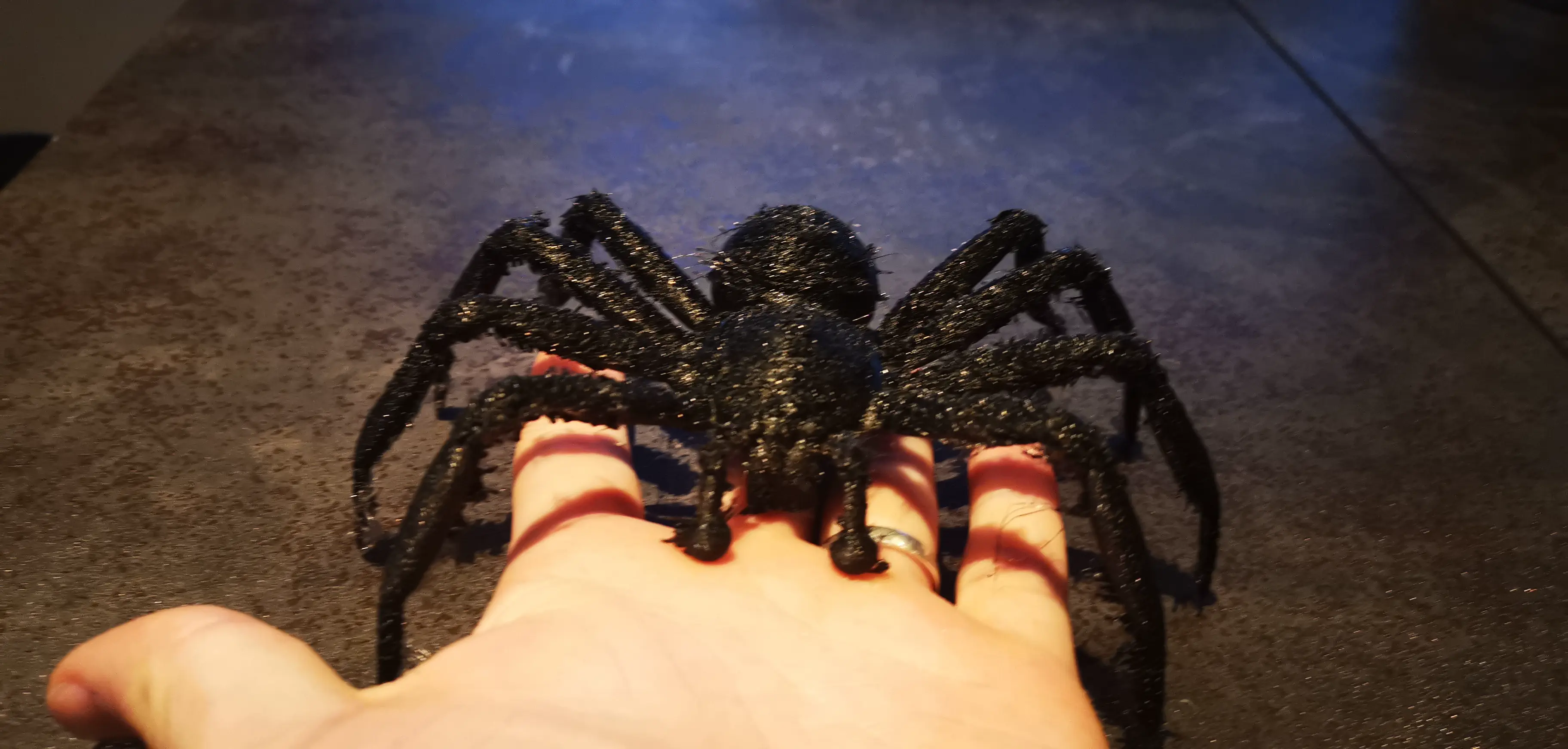 3D Printer Files | 3MF File | araignée / Spider TPU | Creality Cloud