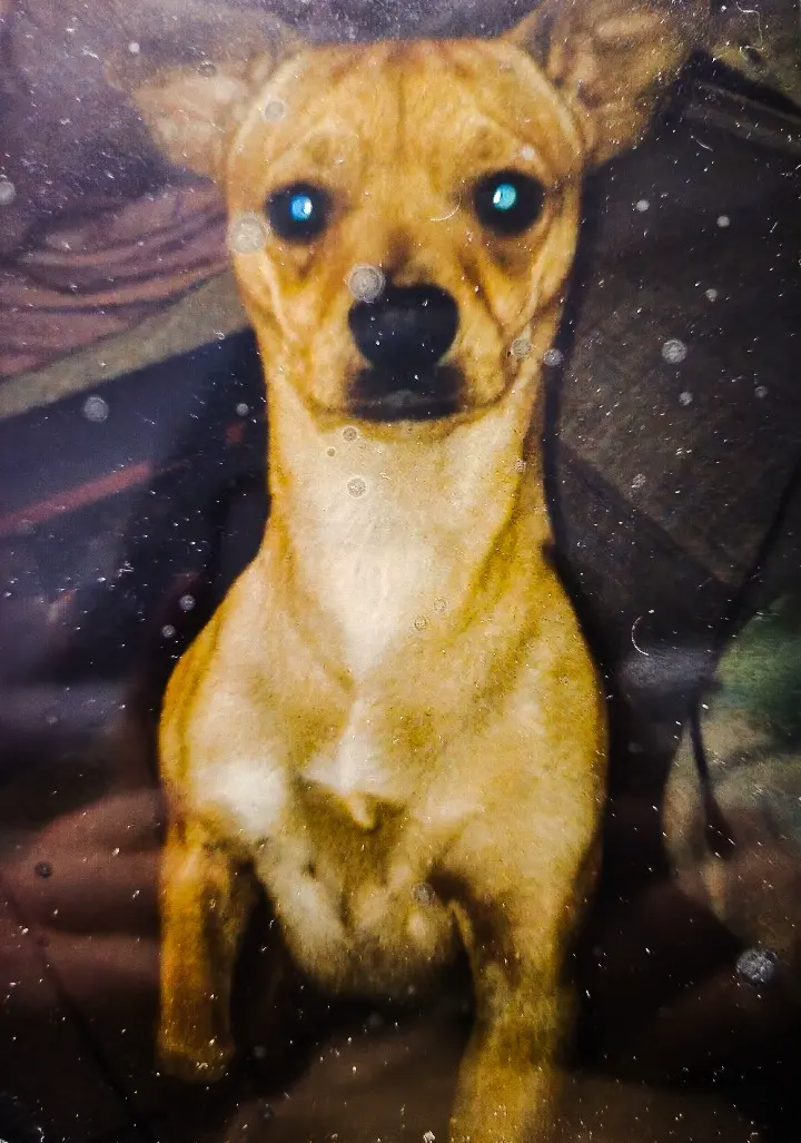 Free Other STL Download - Caneloby Richard Gamboa