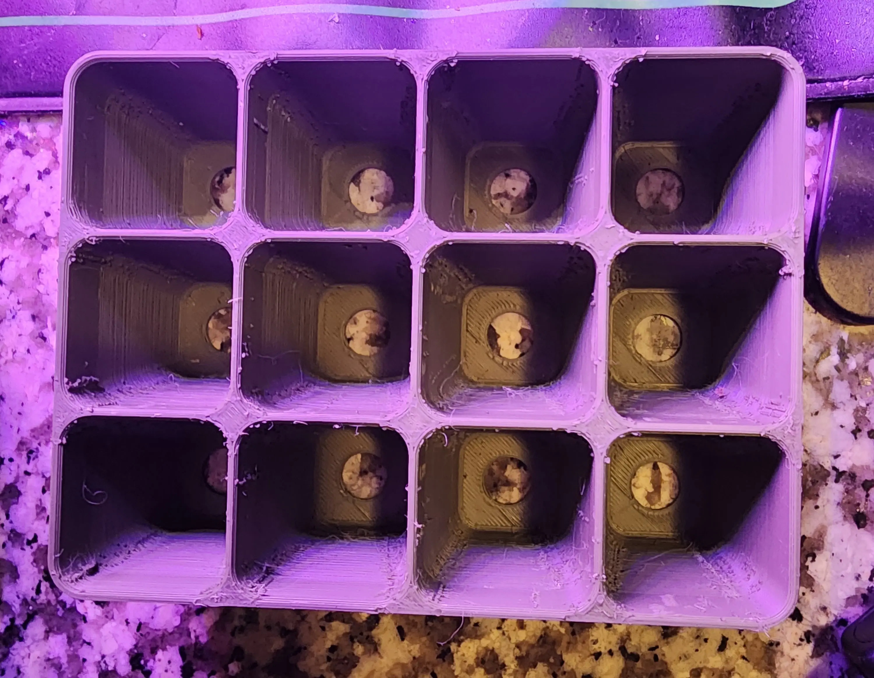 3D Printer Files | 3MF File | 3x4 seed tray | Creality Cloud