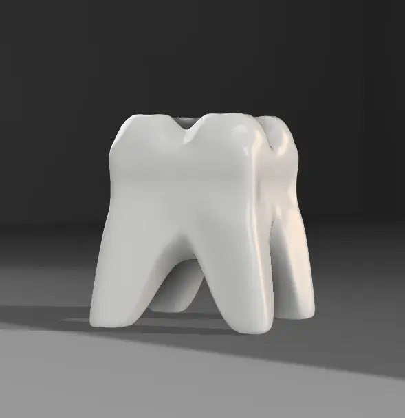 Home Decorations & Ornaments STL Download - Tooth Pencil Holderby DLMedia