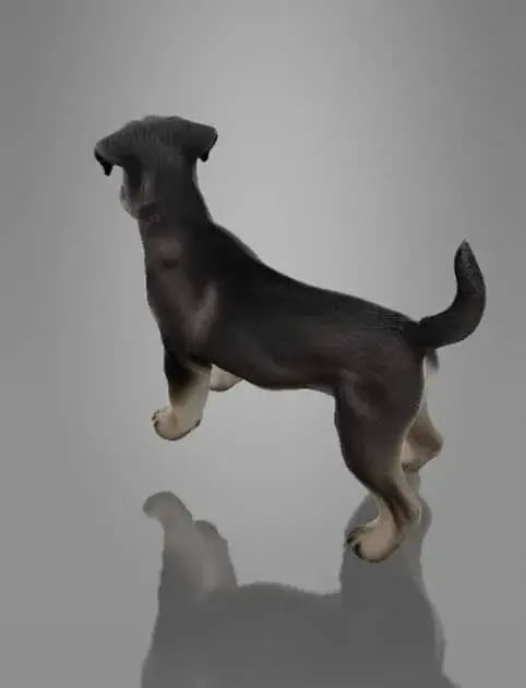 3D Printer Files | 3MF File | MINIATURE SCHNAUZER | Creality Cloud