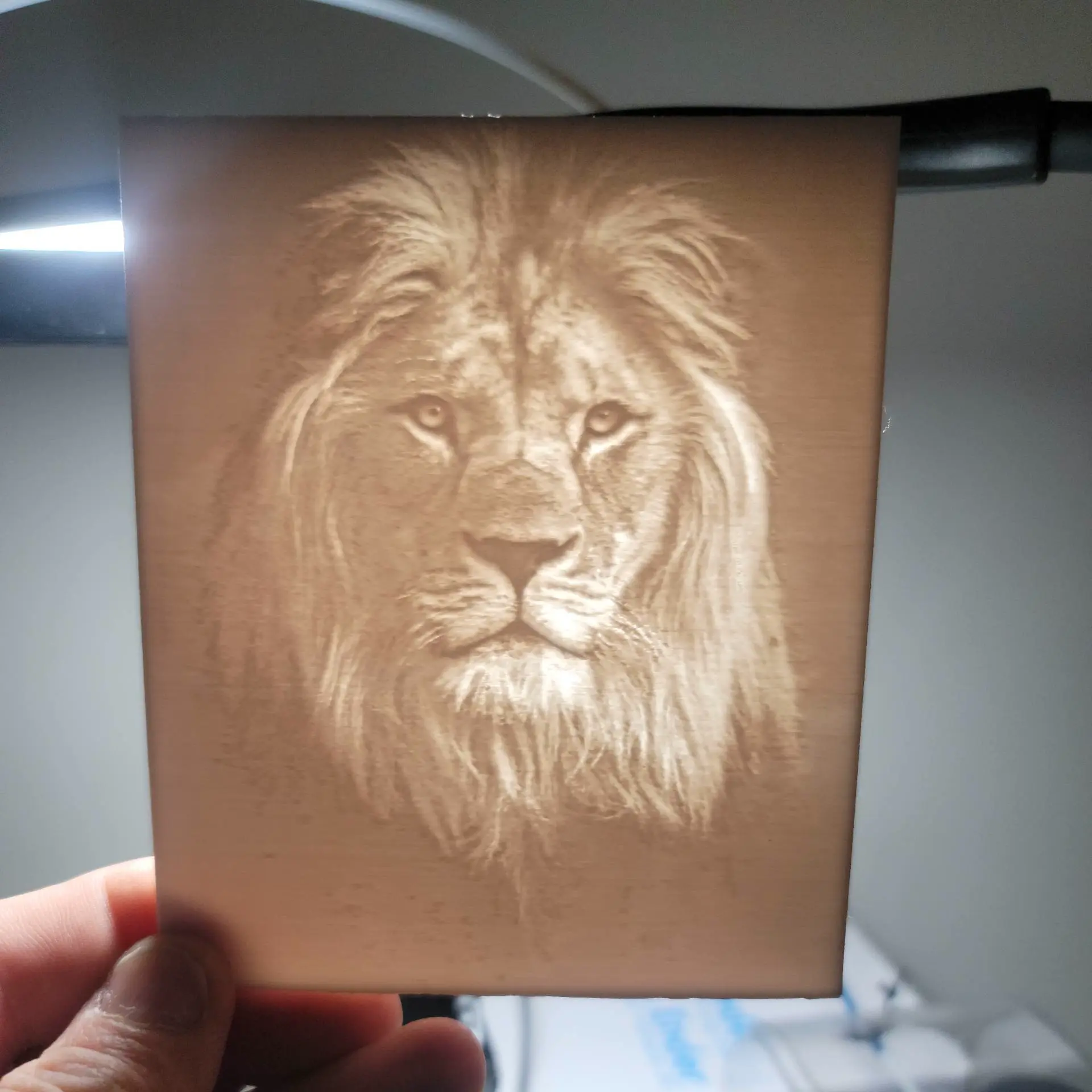 3D Printer Files | 3MF File | Lion Night Light Lithophane | Creality Cloud