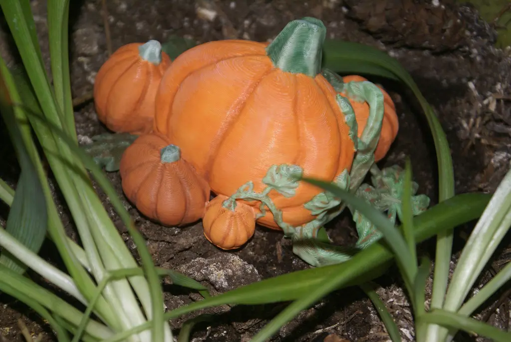 3D Printer Files | 3MF File | Halloween Pumpkin Patch | Creality Cloud