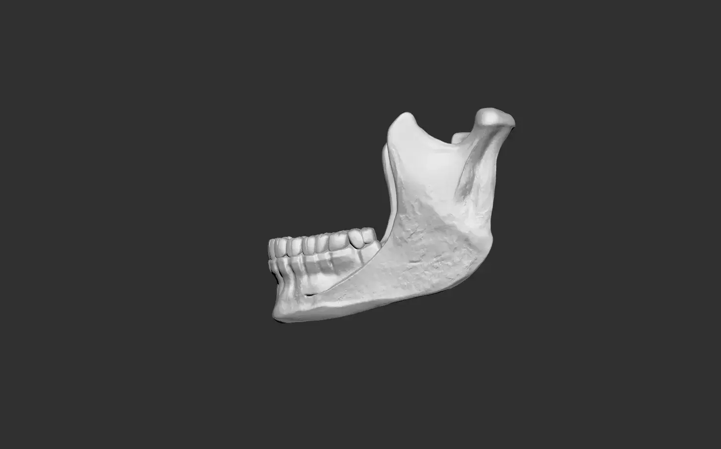Other STL Download - Mandible jaw human anatomy bonesby Ozvald-3D