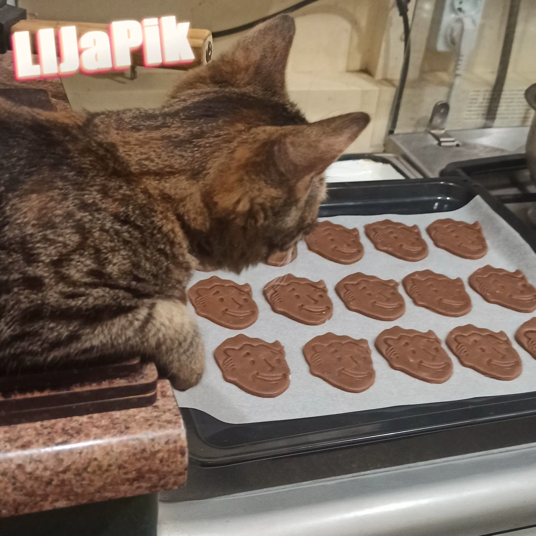 3D Printer Parts STL Download - ФОРМА ДЛЯ ПЕЧЕНЬЯ FALLOUT / FALLOUT ...