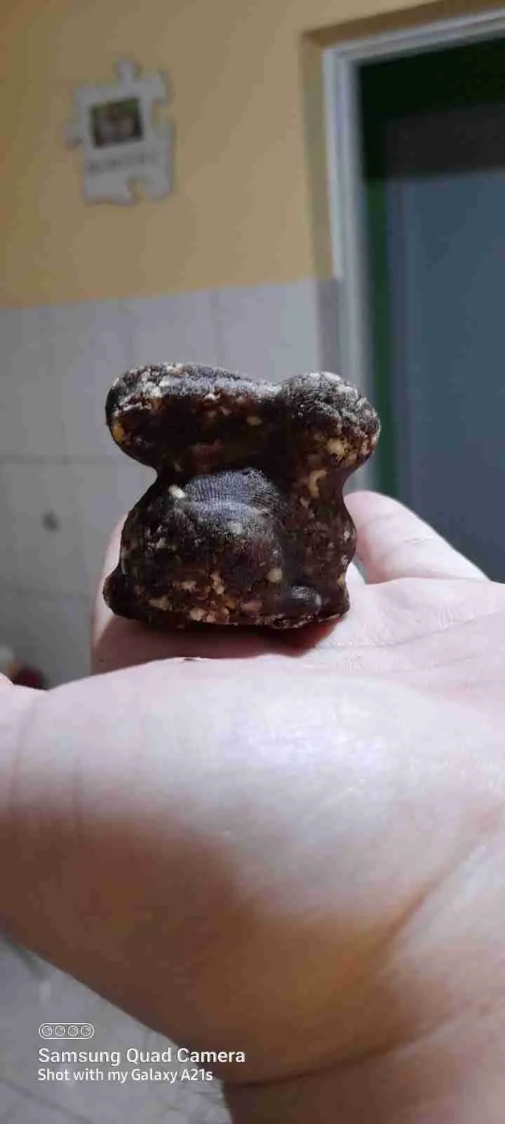 Test Models STL Download - Bunny moldby Sirb Claudiu_92