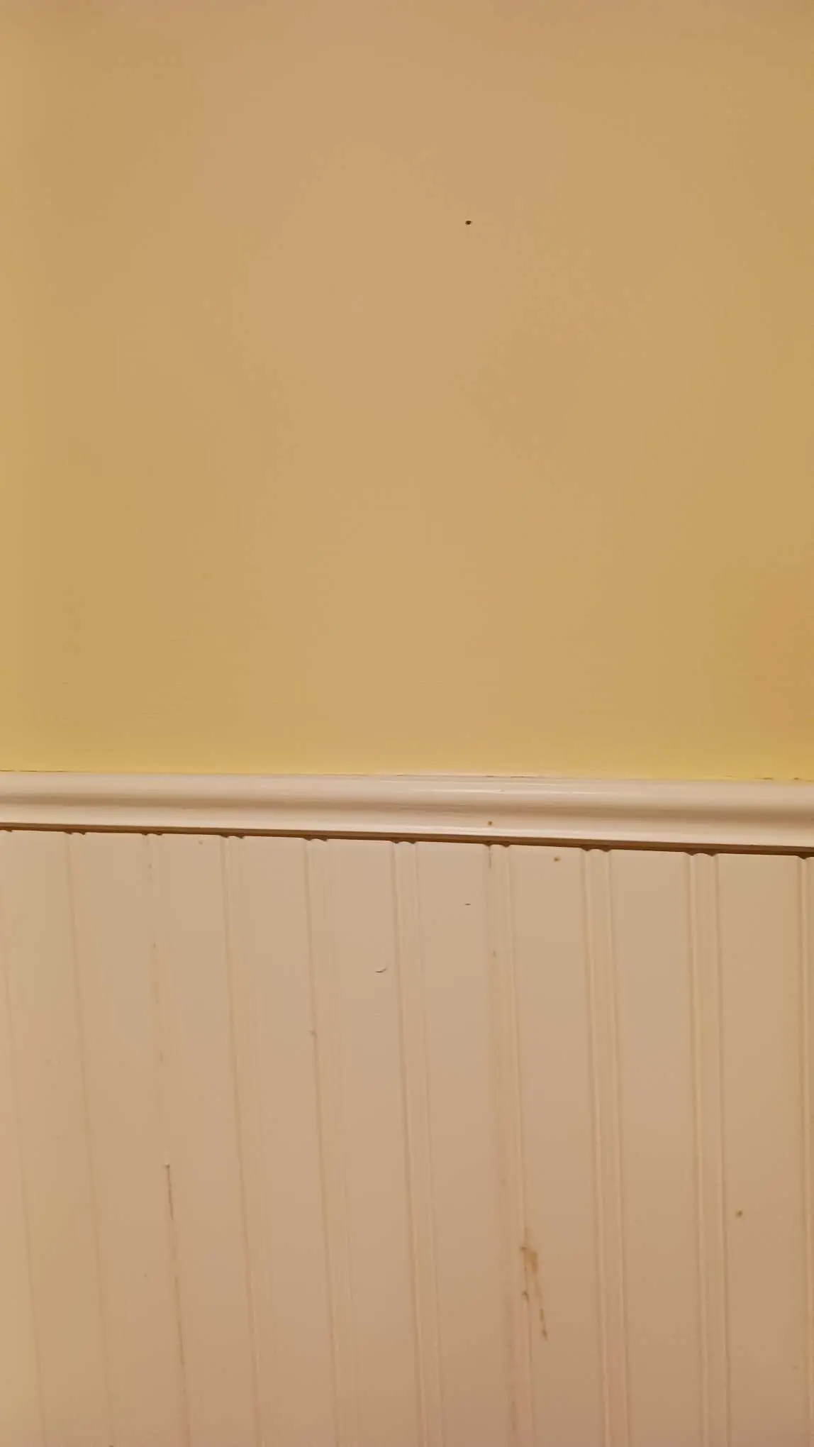 Free Other STL Download - I made some Minecraft dice ig, here ya go.by ...