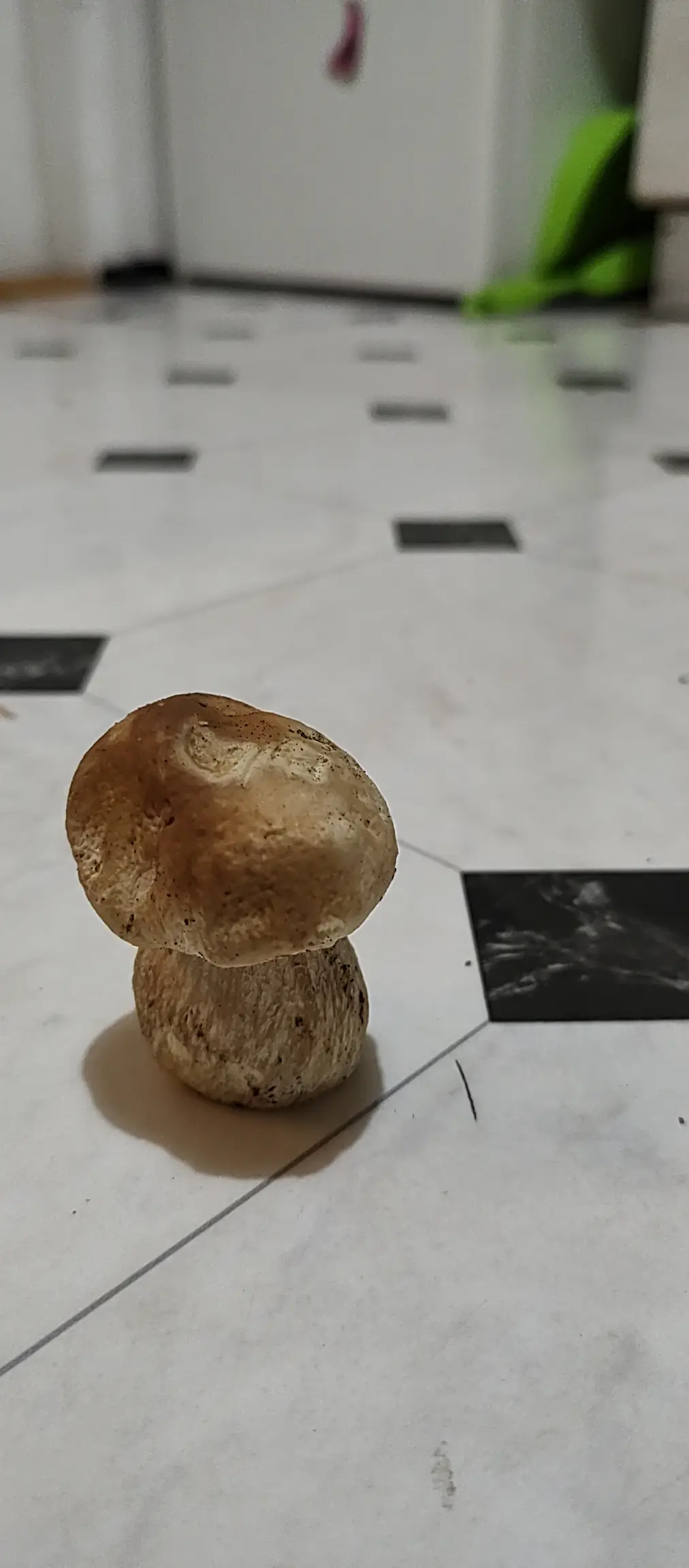 Free Other STL Download - mushroomby Anthony Vacek