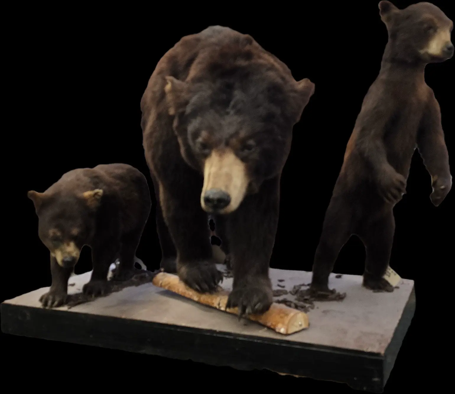 Free Sculptures & Artworks STL Download - 3 Bearsby user4803897772