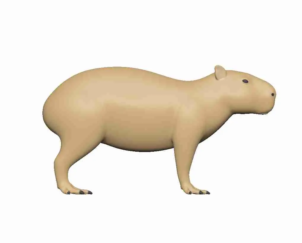 capibara | 3D modeller indir | Creality Bulutu