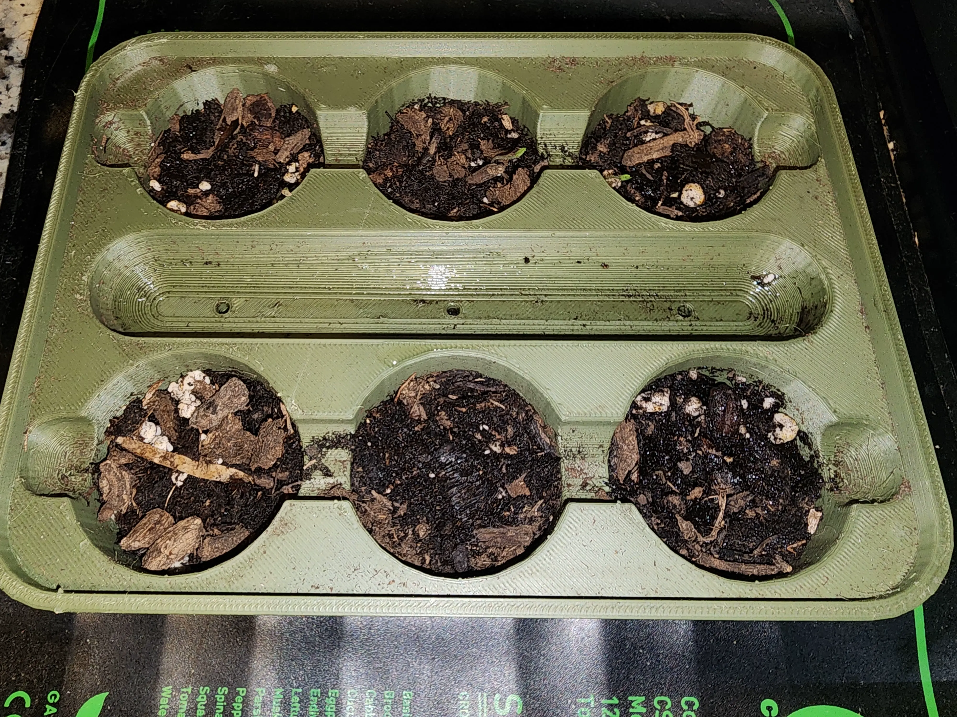 Free Household STL Download - RSG seed starterby bEze