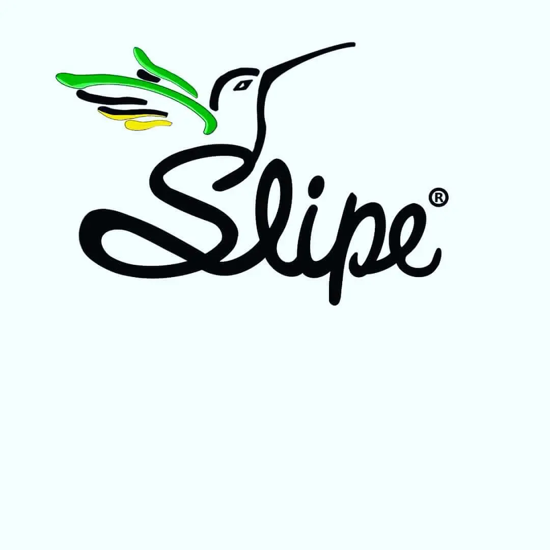 Free Digital Art STL Download - Slipe logoby user4069419395