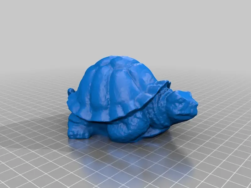 3D Printer Files | 3MF File | Turtle and Tortoise | Creality Cloud