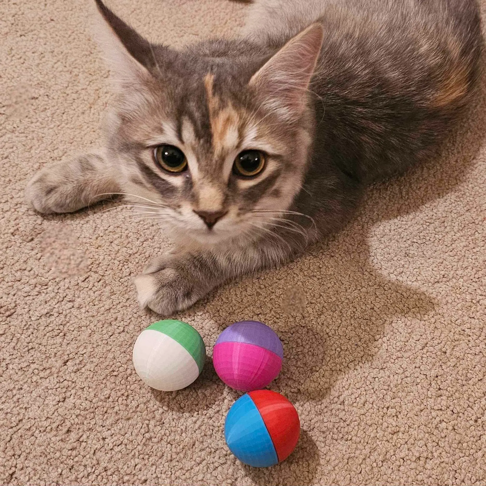 3D Printer Files | 3MF File | Easy Print Cat Balls! use up your extra ...