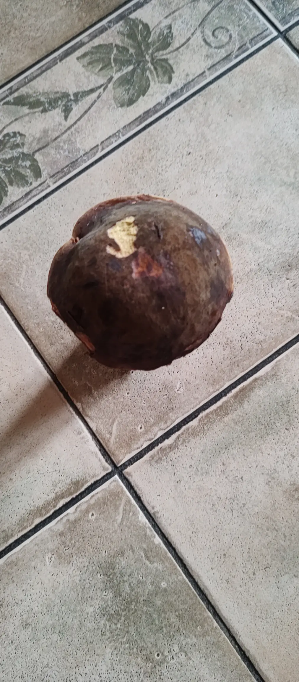 Free Other STL Download - kovářby Anthony Vacek