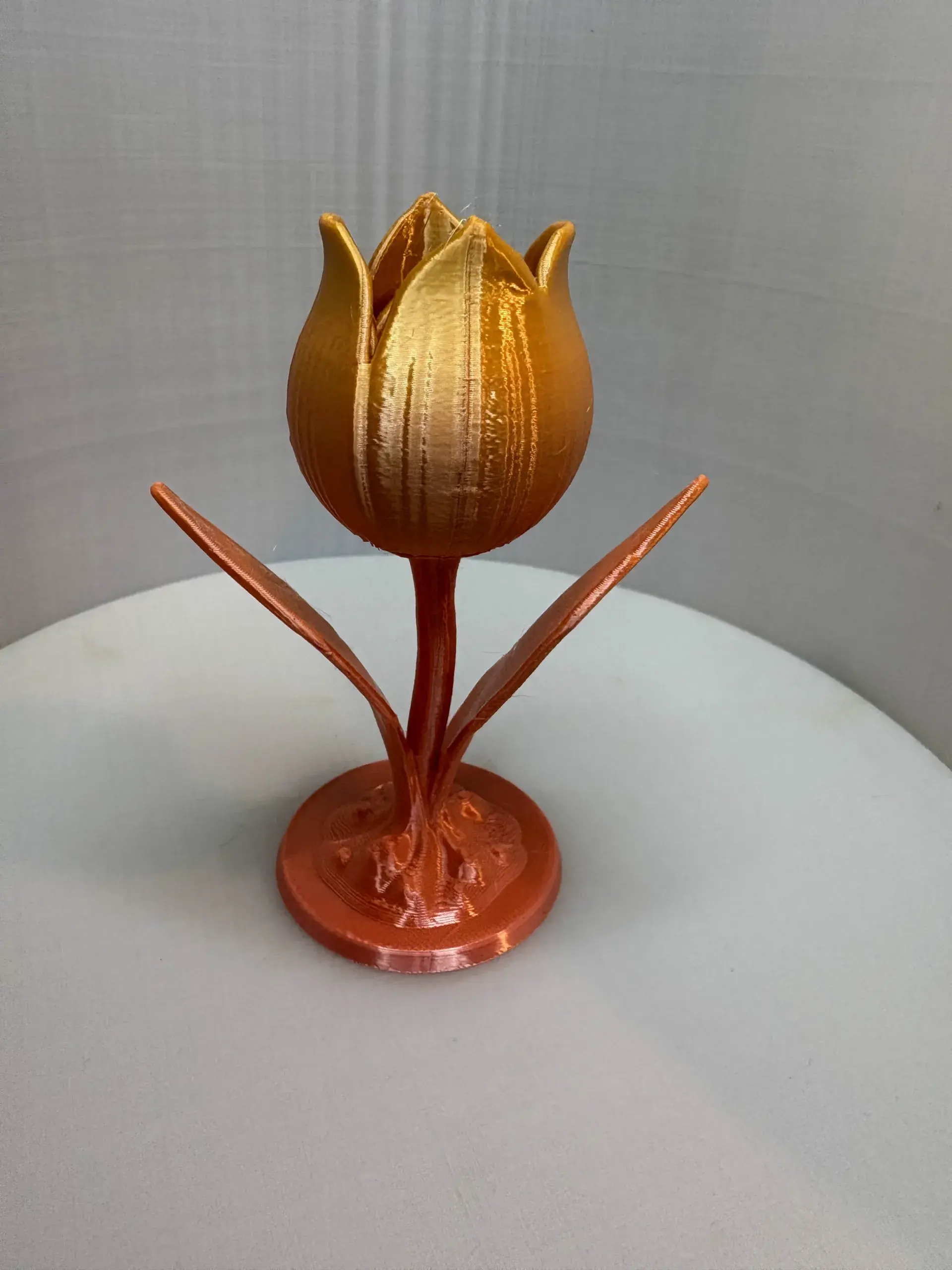 3D Printer Files | 3MF File | The Enchanted Tulip | Creality Cloud