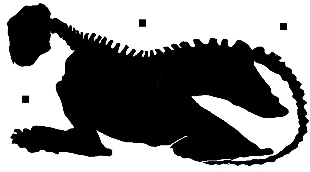 Free Sculptures & Artworks STL Download - Tiger Skeleton 2 layer ...