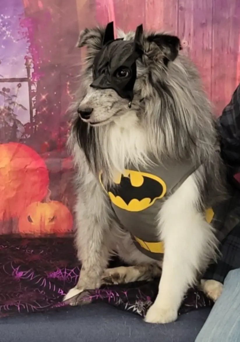 Free Other STL Download - Bat dog 2by Trabach