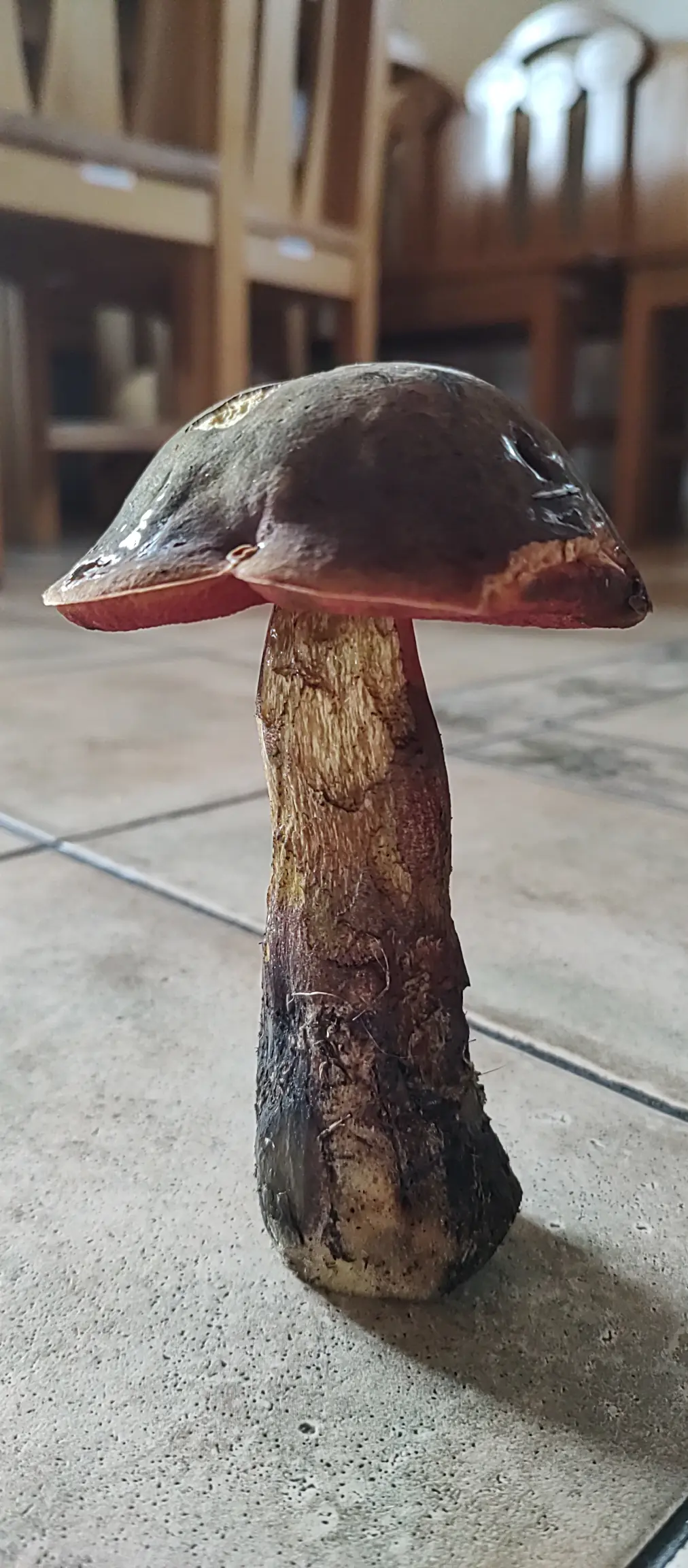 Free Other STL Download - kovářby Anthony Vacek