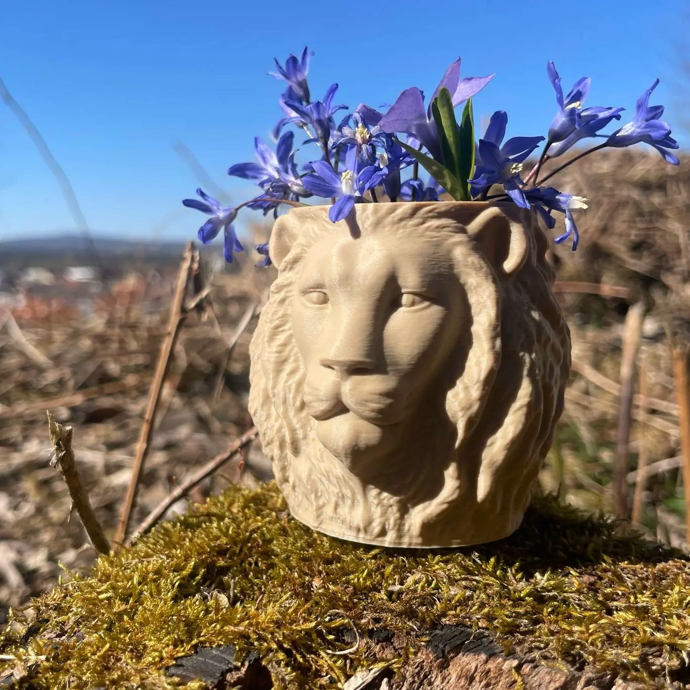 3D Printer Files | 3MF File | LION Vase-POT | Creality Cloud