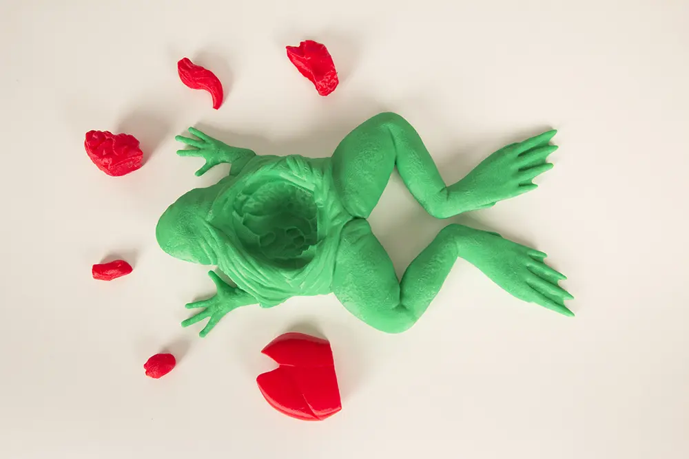 Free Other STL Download - The Frog Dissection Kitby SMT_M 🦊