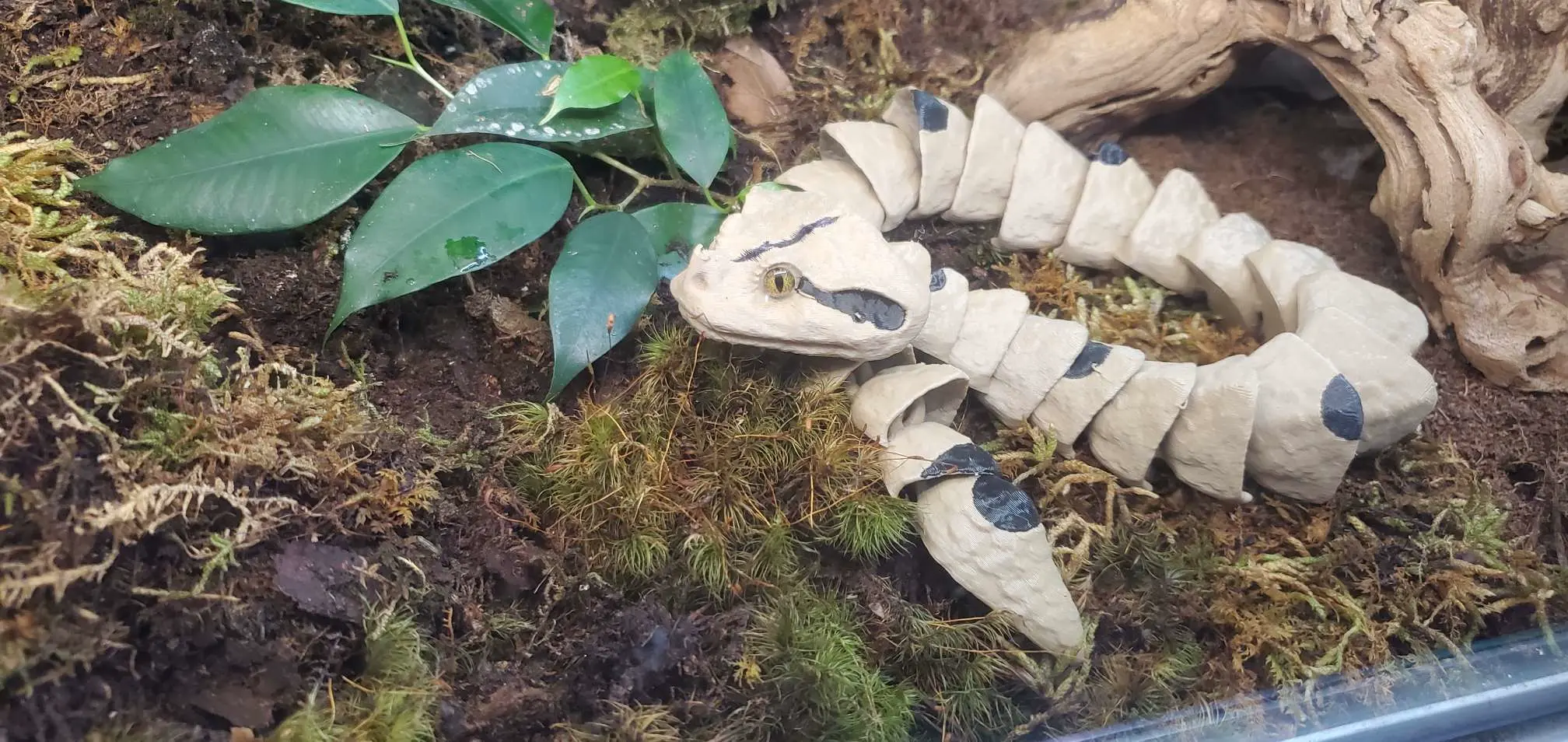 Gaboon Viper Version 2 | 3D models download | Creality Cloud