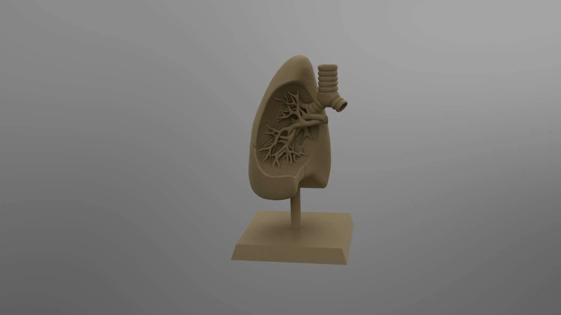 3D Printer Files | 3MF File | lung model | Creality Cloud