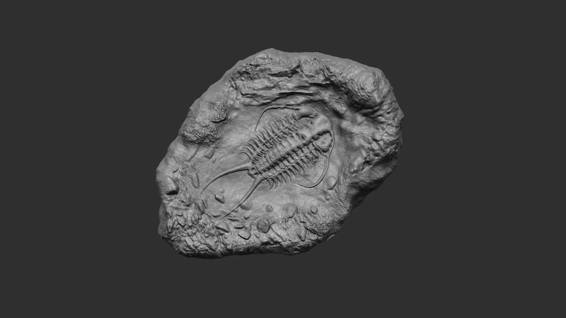 Other STL Download - Trilobite Mineral Fossile - Realisticby guisommer