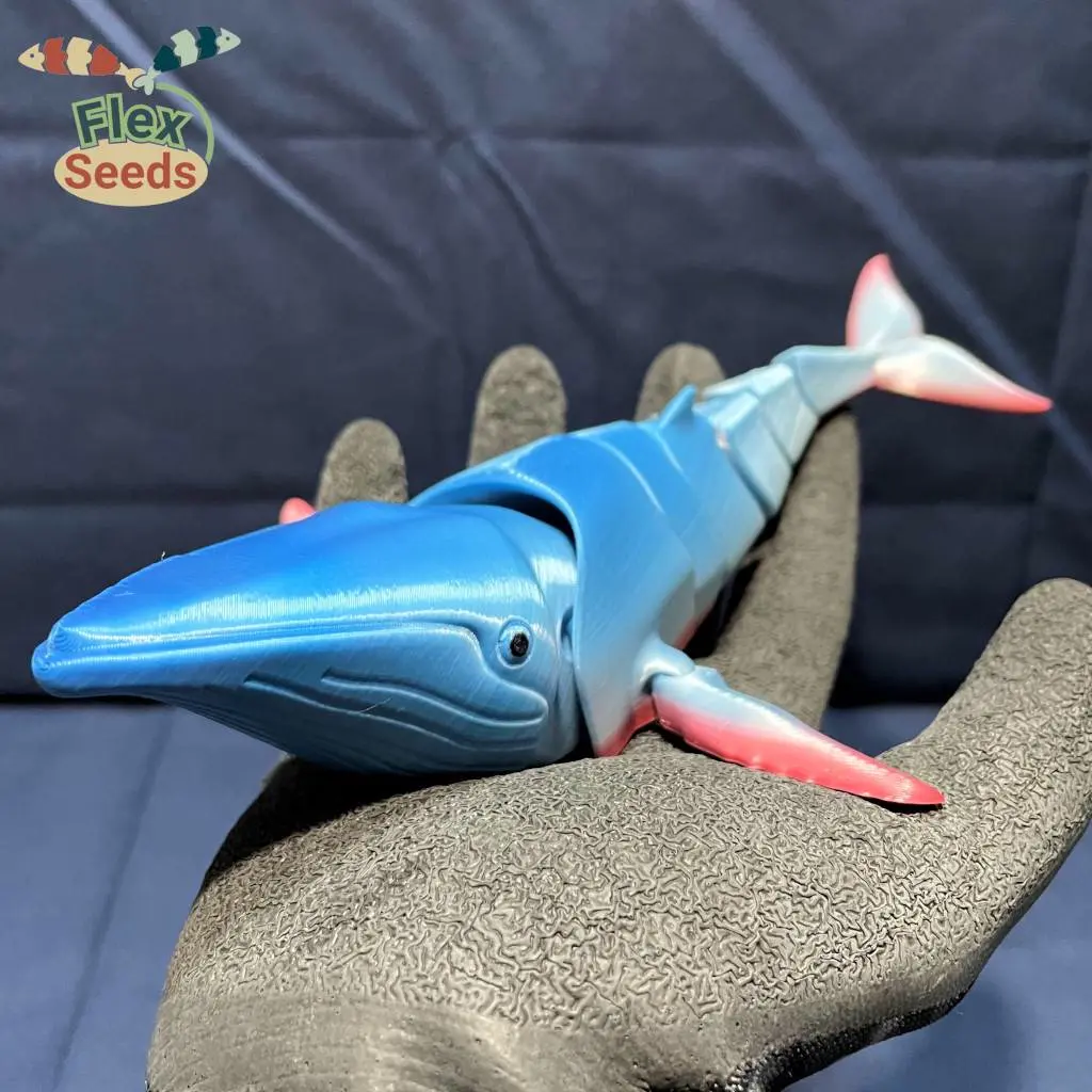 3d Printer Files 3mf File Flexi Humpback Whale Print In Place