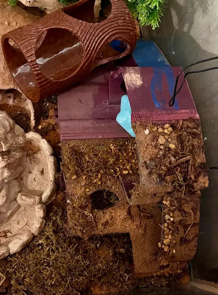 Free Pets STL Download - Reptile Hide for Leopard Geckos and similar ...