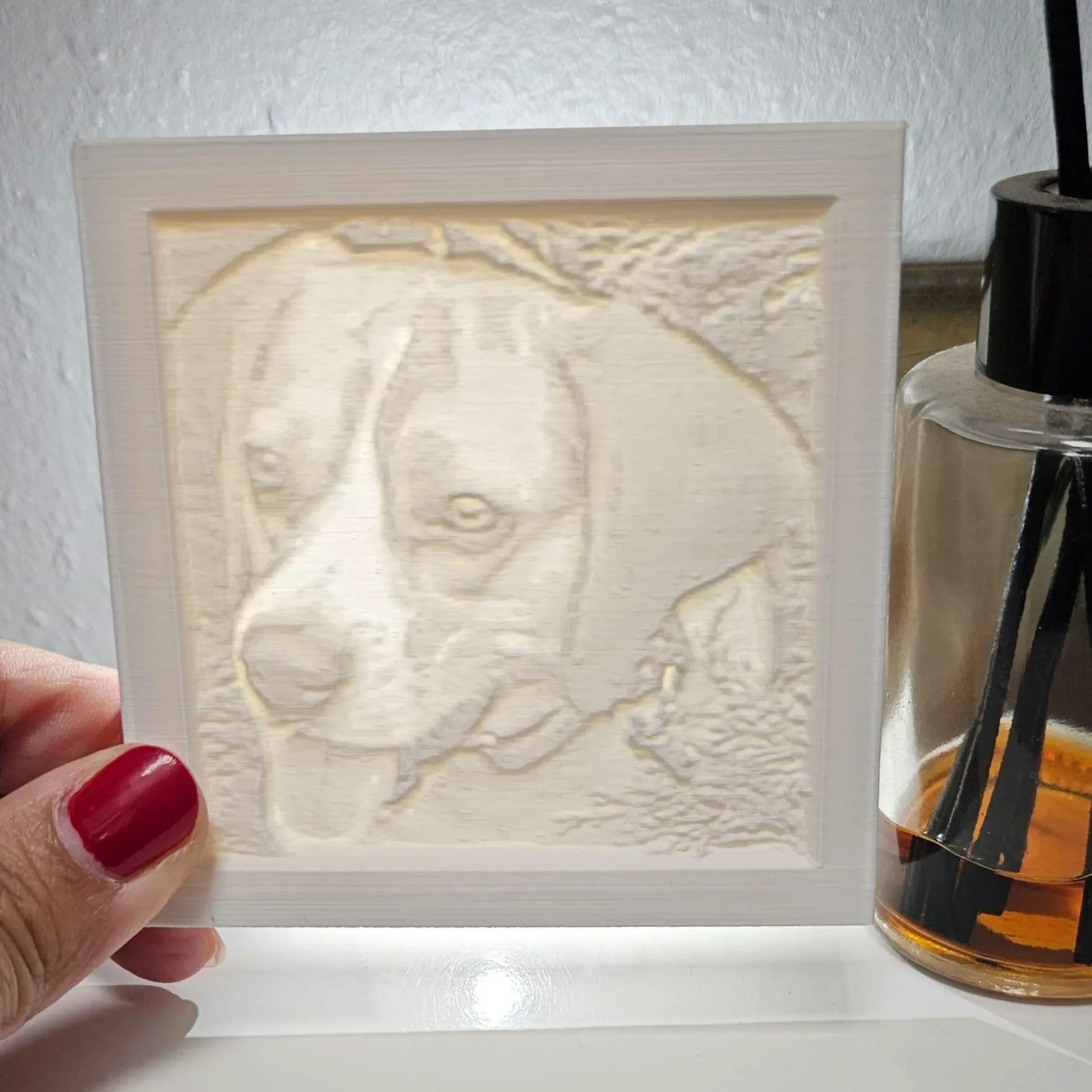 3D Printer Files | 3MF File | Litofania perro | Creality Cloud