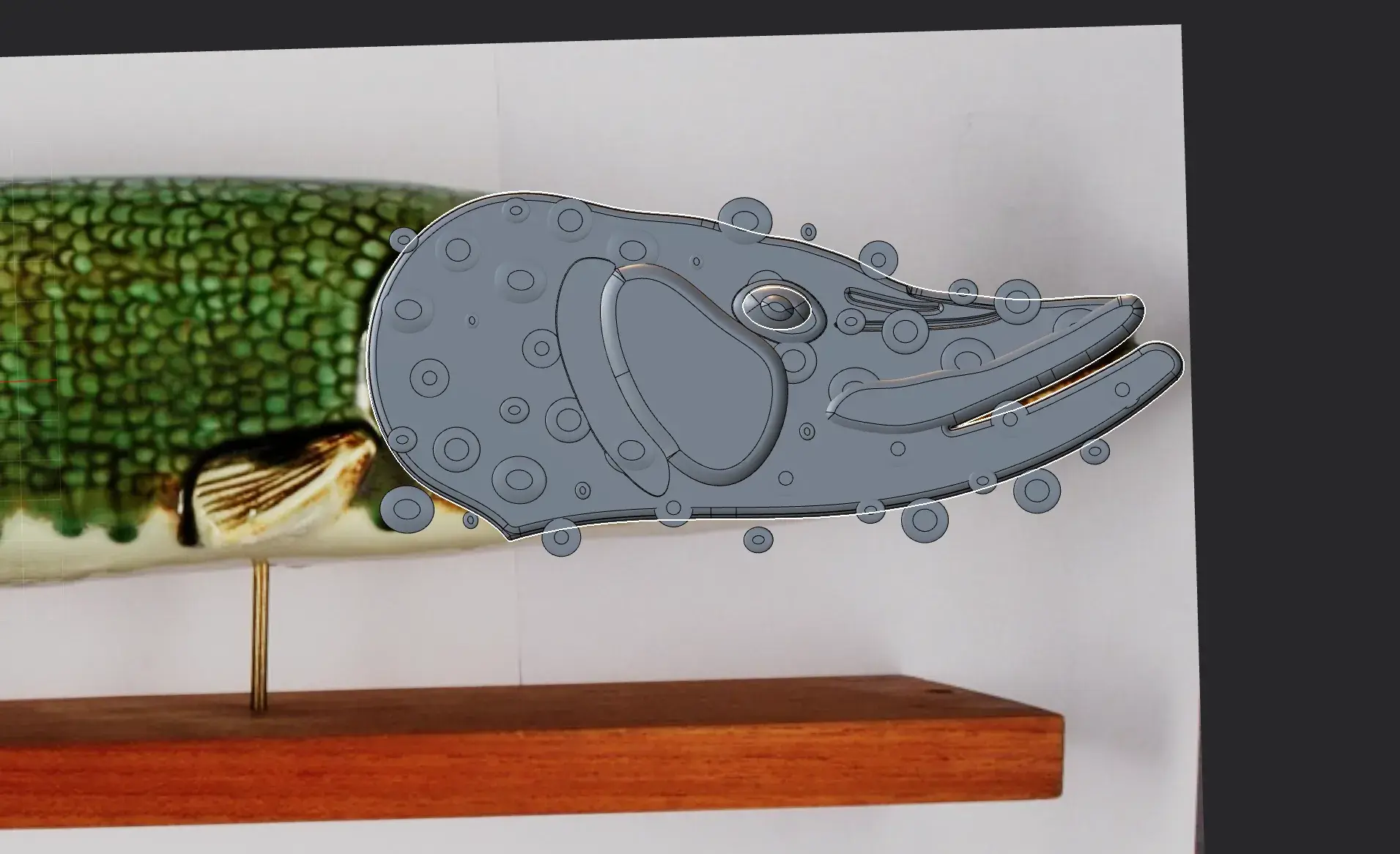 Archivos de impresora 3D | Archivo 3MF | Big Fish Head with a Skeleton ...