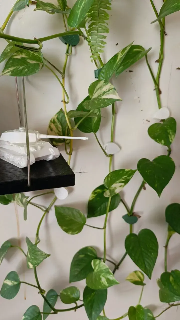 3D Printer Files | 3MF File | wall clipper for plants | Creality Cloud