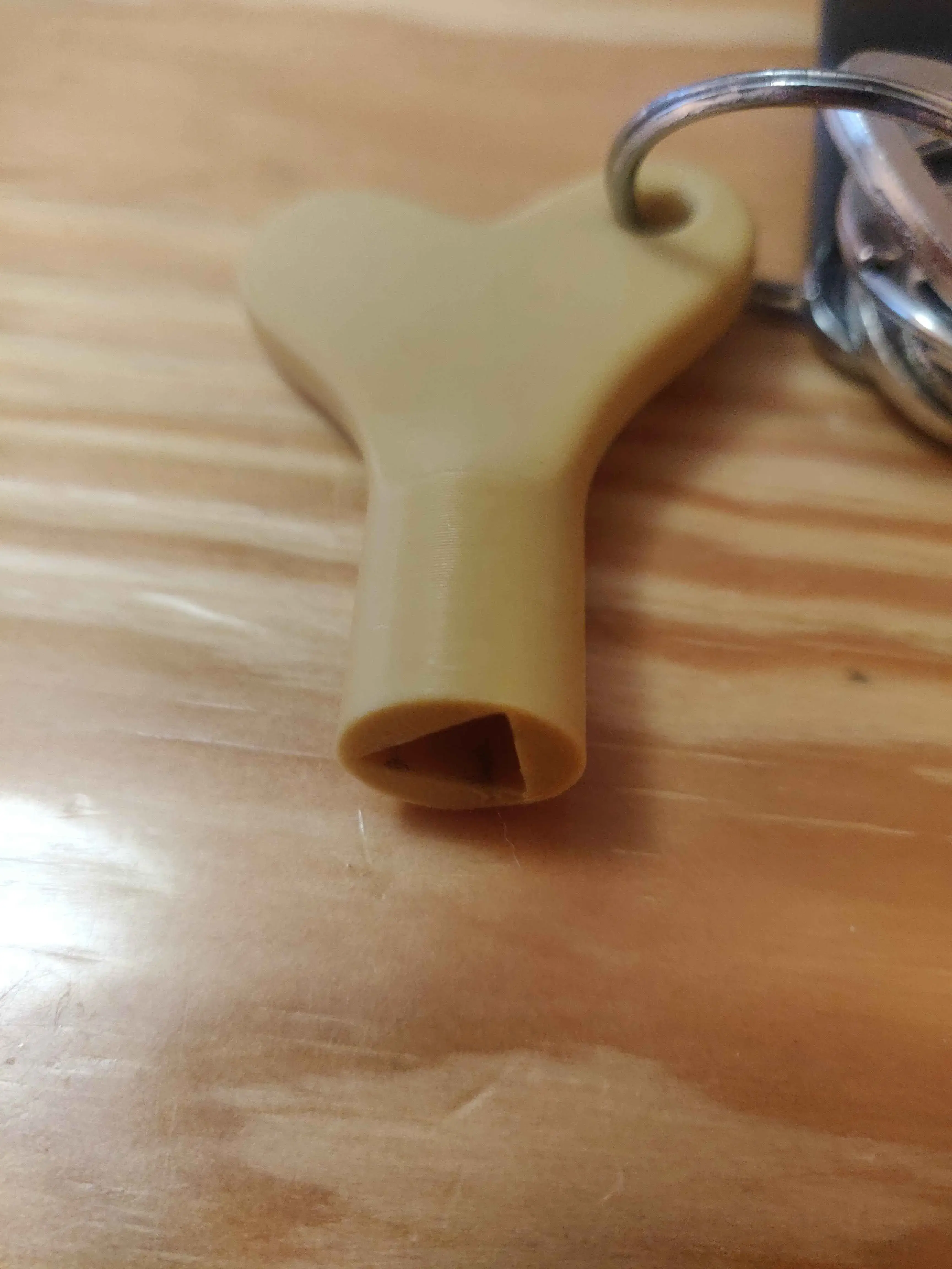 3D Printer Files | 3MF File | Key for Yellow Trash Bins (Triangular / 3 ...