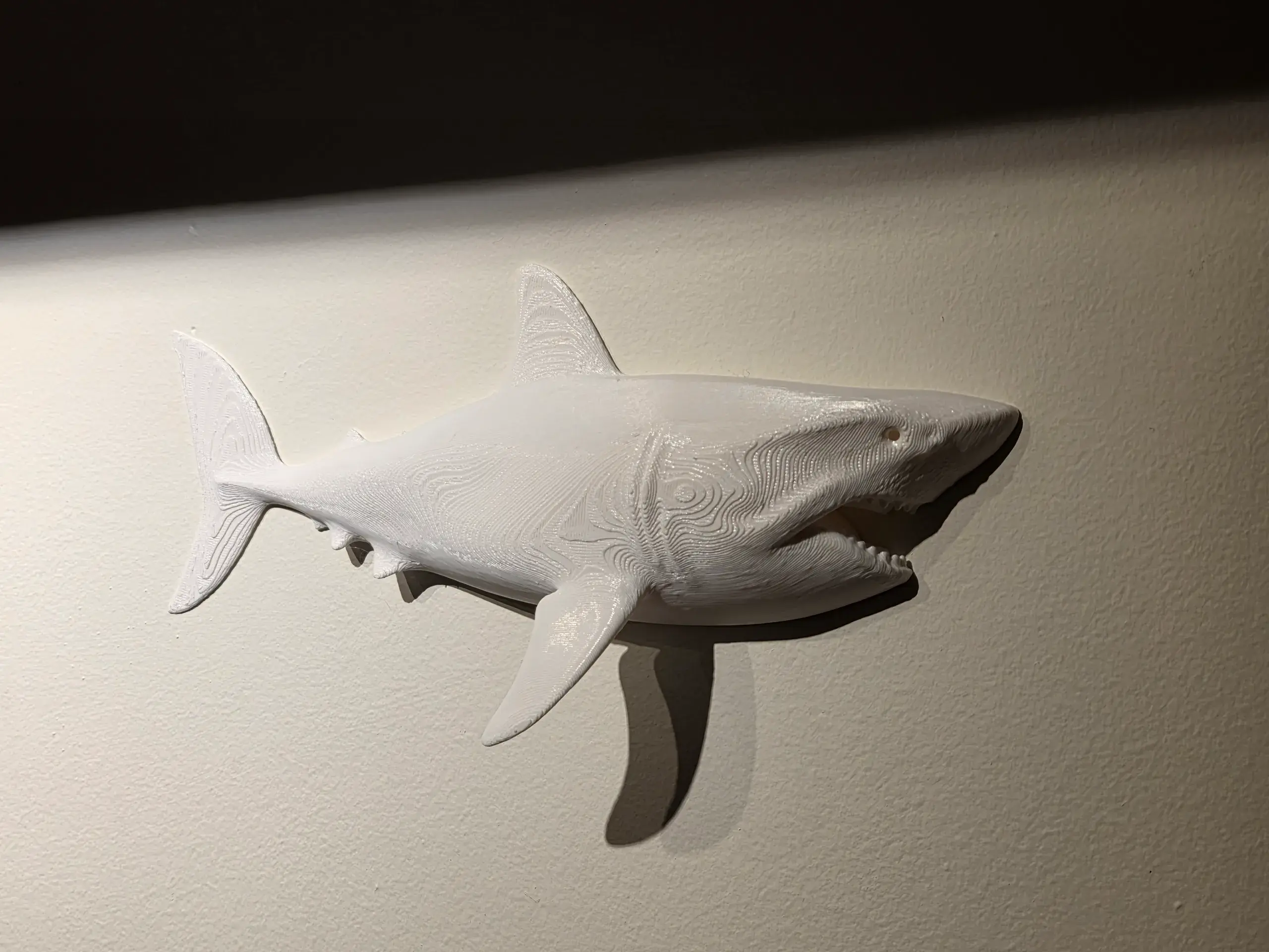 3D Printer Files | 3MF File | Great White Shark Wall Display | Creality ...