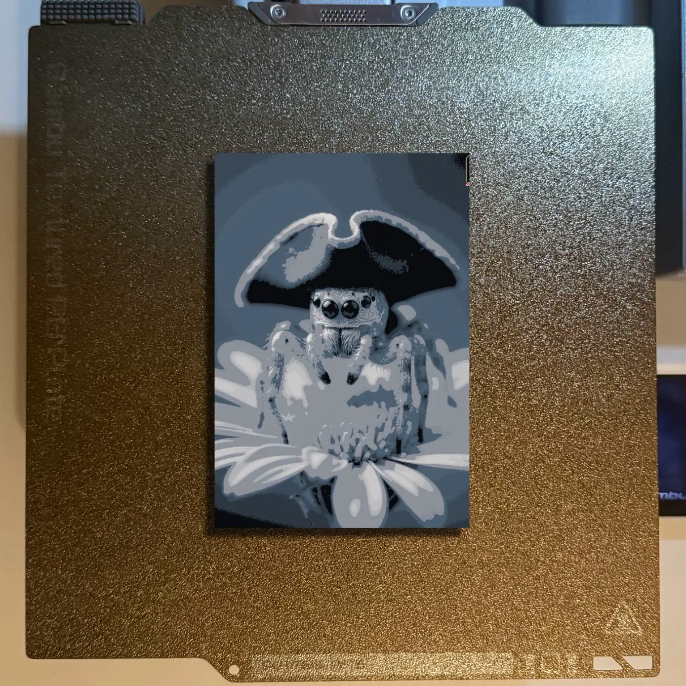 3D Printer Files | 3MF File | Spider Pirate Hueforge | Creality Cloud