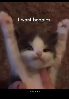 Free STL Download - Booobsby tothewindow