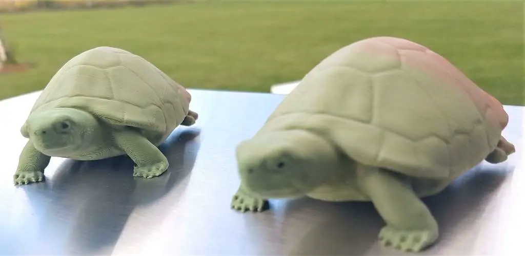 3D Printer Files | 3MF File | Mr & Mrs Turtle (Adult) Surprise ...